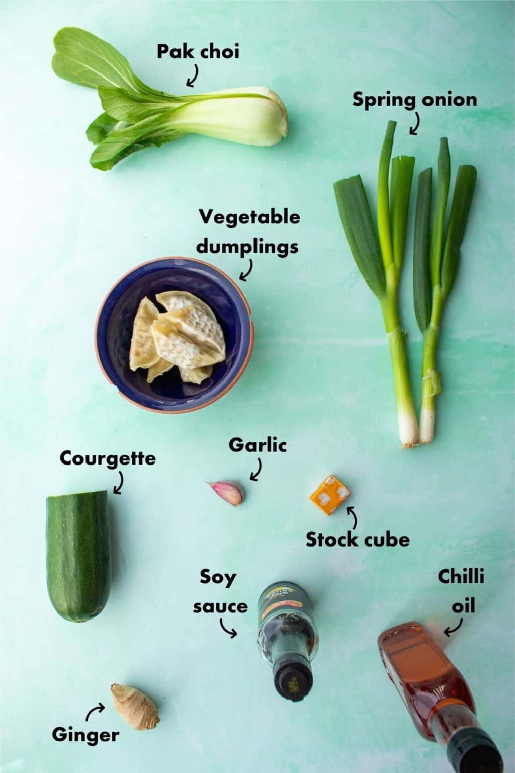 Gyoza Soup (Japanese Dumpling Soup) – Beat The Budget