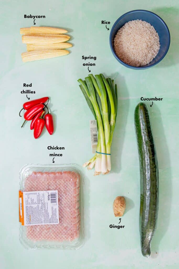 The Best Chicken Mince Stir Fry (15-Minute Recipe) – Beat The Budget