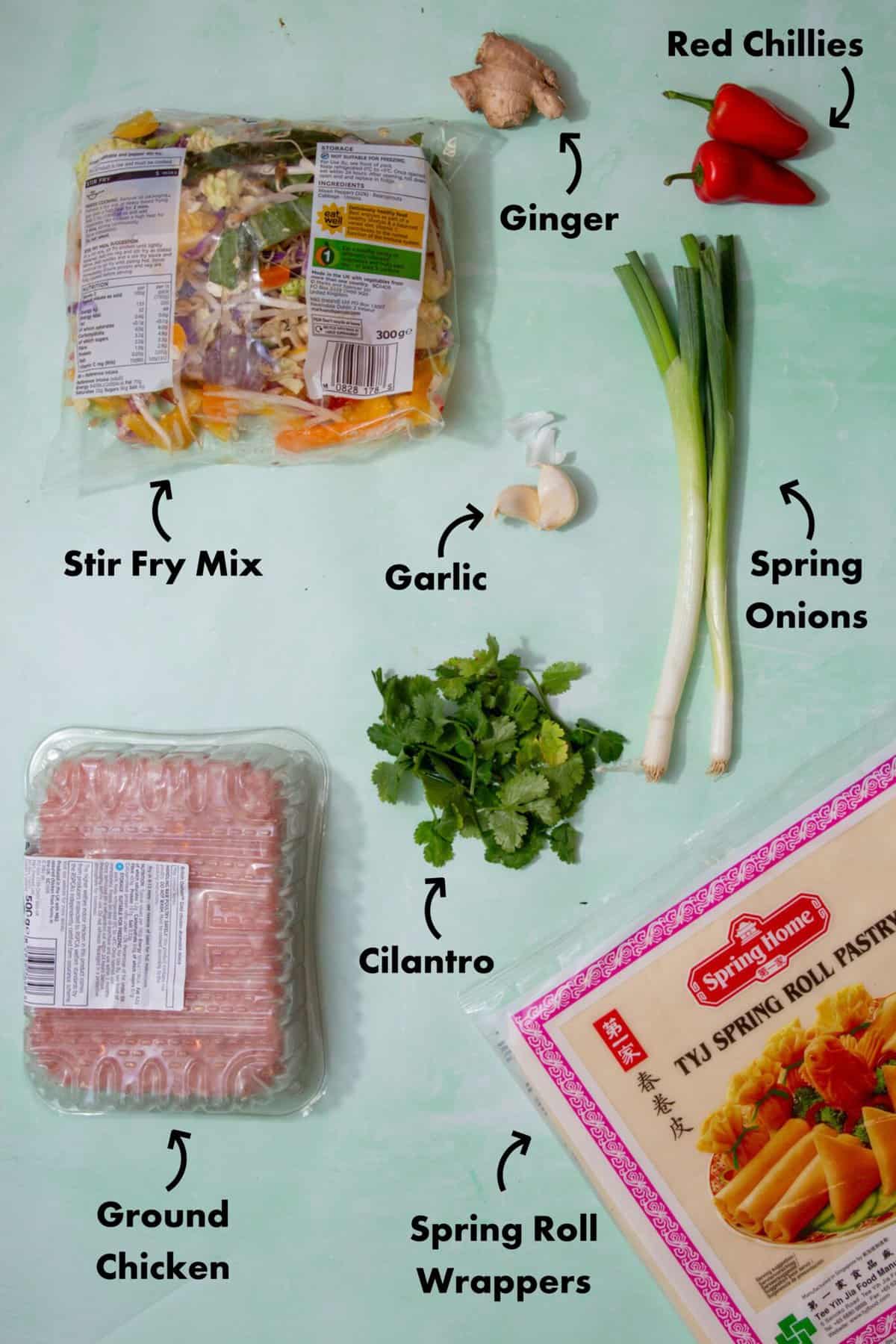 Easy Air Fryer Spring Rolls {Crispy and Homemade!} – Beat The Budget