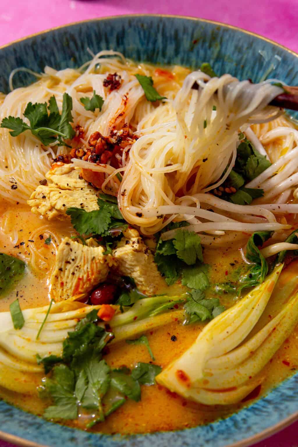 Easy Chicken Laksa Soup Recipe – Beat The Budget