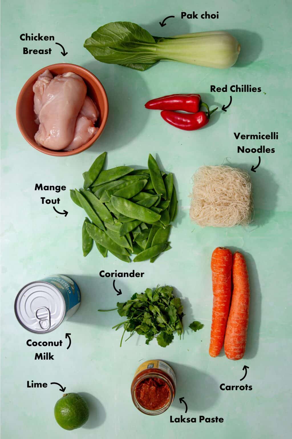 Easy Chicken Laksa Soup Recipe – Beat The Budget