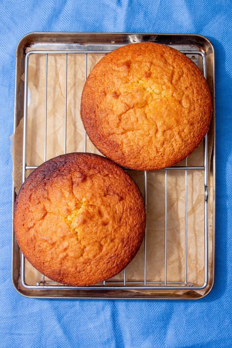 Delicious Vanilla Sponge Cake Recipe {Fluffy Texture} – Beat The Budget