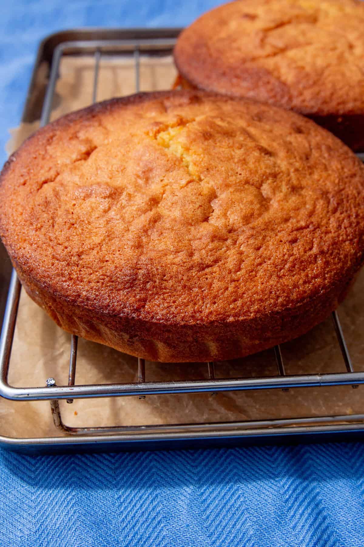 Delicious Vanilla Sponge Cake Recipe {Fluffy Texture} – Beat The Budget