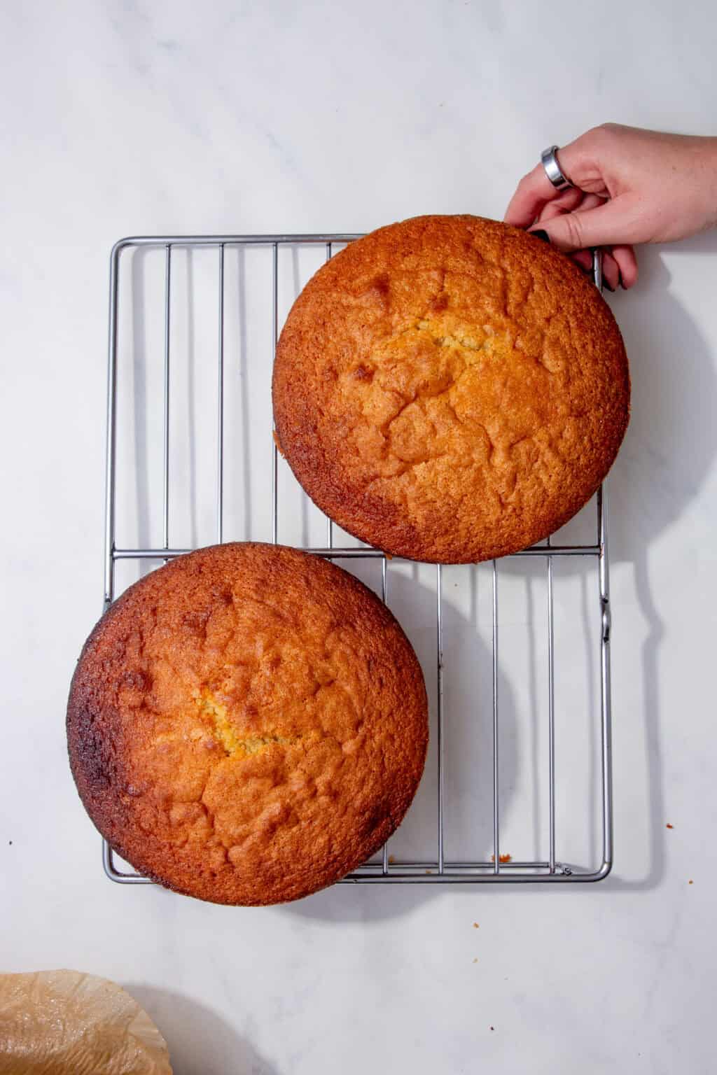 Delicious Vanilla Sponge Cake Recipe {Fluffy Texture} – Beat The Budget