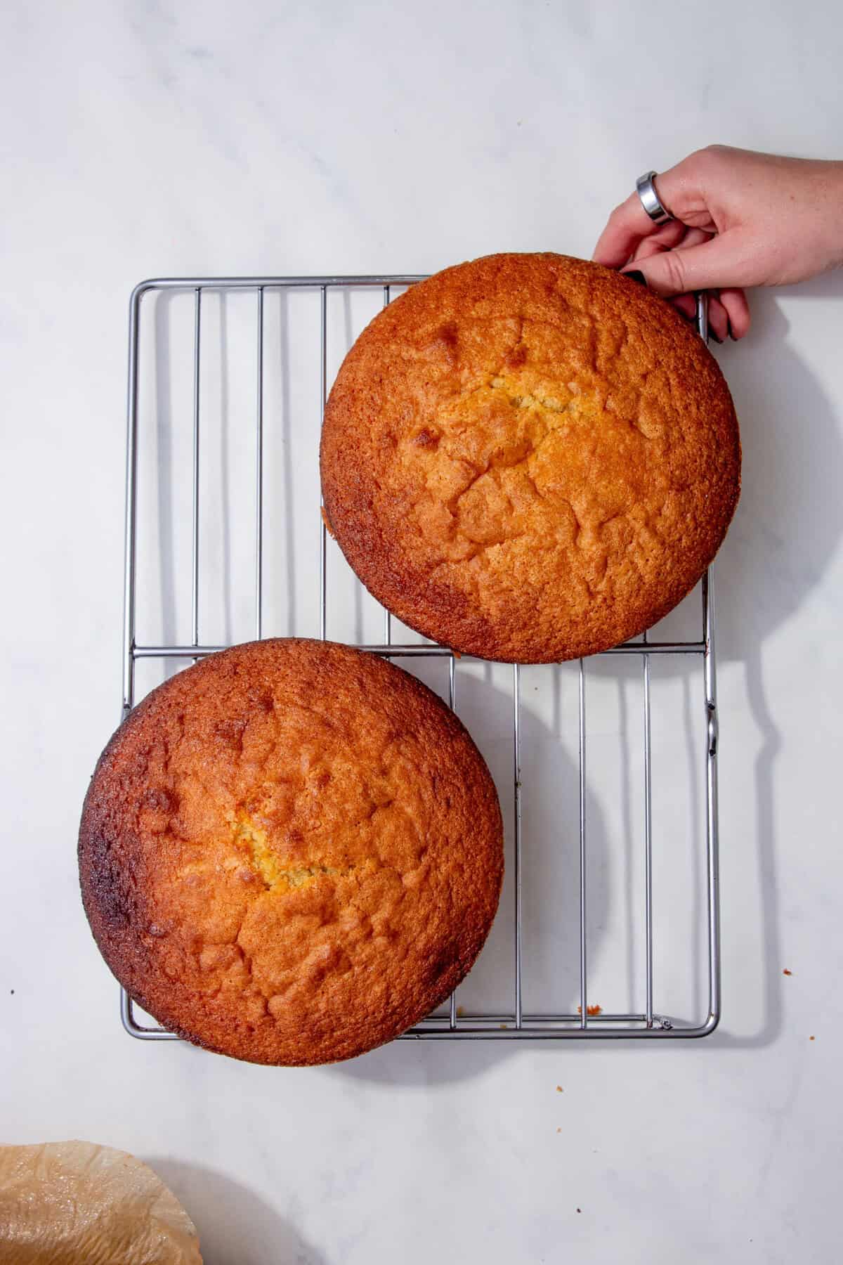Delicious Vanilla Sponge Cake Recipe {Fluffy Texture} – Beat The Budget