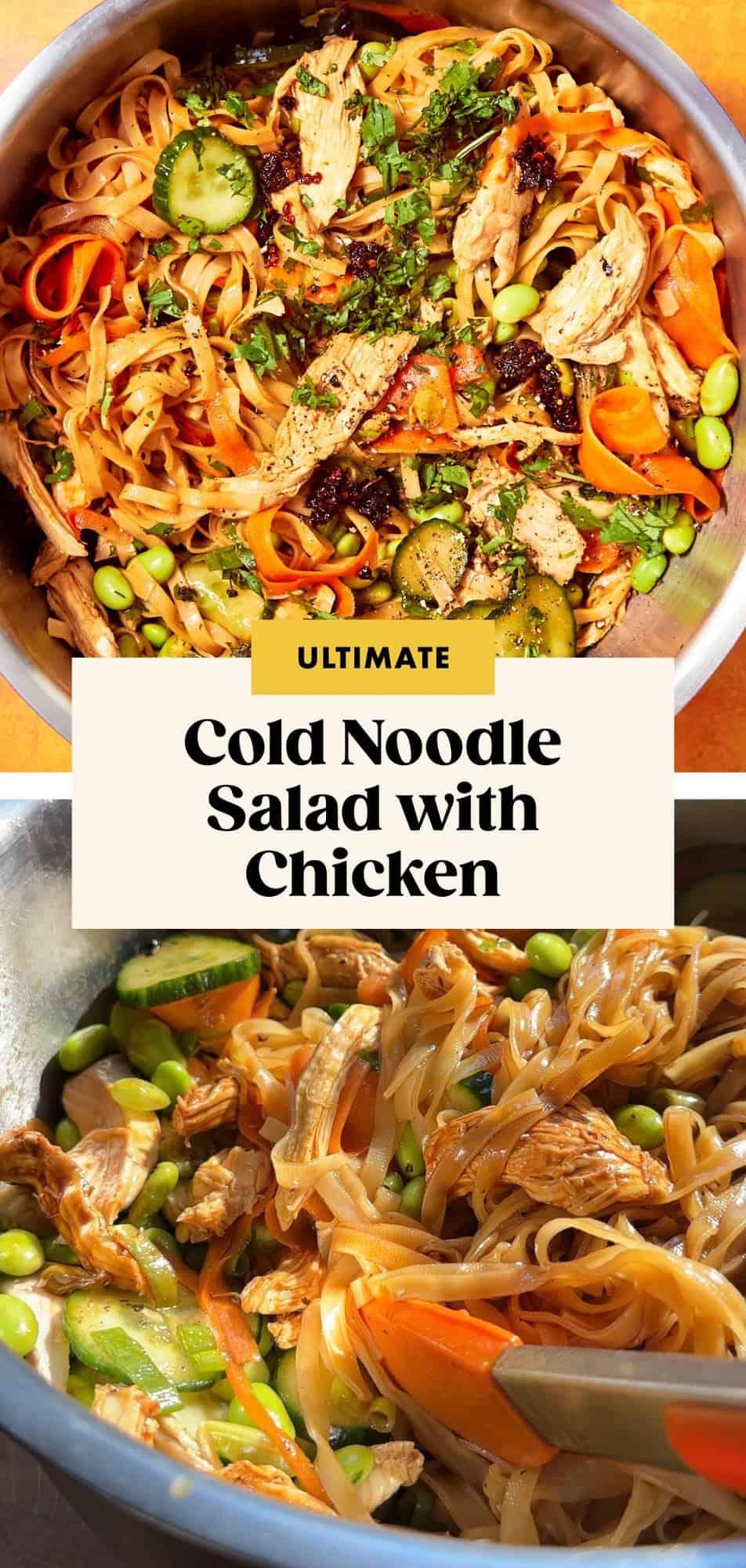 Cold Noodle Salad with Chicken – Beat The Budget